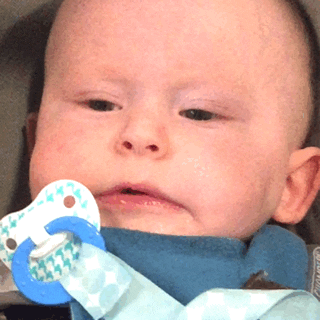 GIF by Jacob Shwirtz - Find & Share on GIPHY