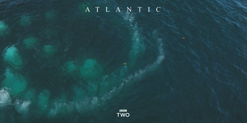 Bbc Two Sea GIF by BBC - Find & Share on GIPHY