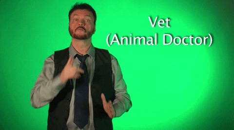 Sign Language Vet GIF by Sign with Robert - Find & Share on GIPHY