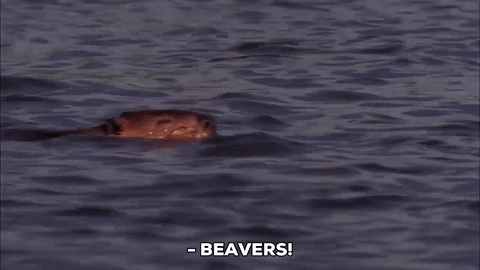 Water Swimming GIF by South Park - Find & Share on GIPHY