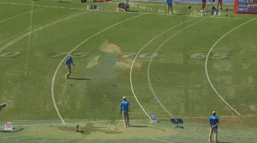 Siu GIF by SIUSalukis - Find & Share on GIPHY