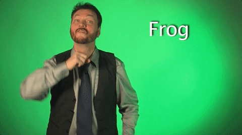 Sign Language Frog GIF by Sign with Robert - Find & Share on GIPHY