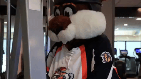 Hockey Workout GIF by Greenville Swamp Rabbits - Find & Share on GIPHY