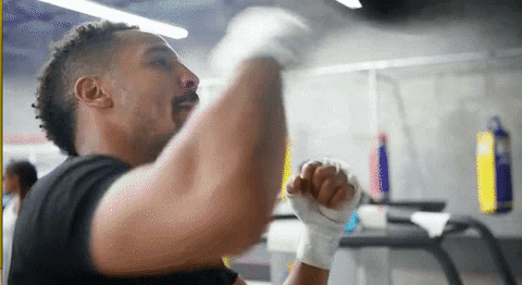 Boxing Boxer GIF by Andre Ward - Find & Share on GIPHY