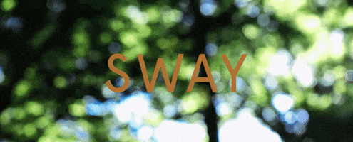 Sway GIF by Household - Find & Share on GIPHY