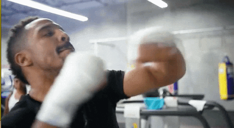 Boxing Boxer GIF by Andre Ward - Find & Share on GIPHY