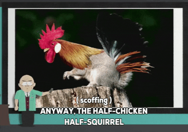 Large Beak GIFs - Get the best GIF on GIPHY