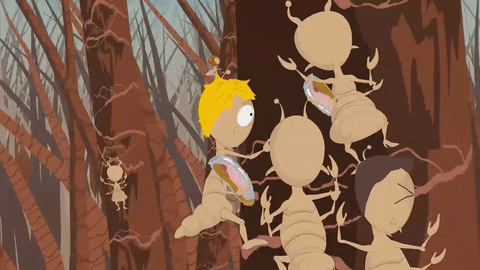 Scared Ants GIF by South Park - Find & Share on GIPHY