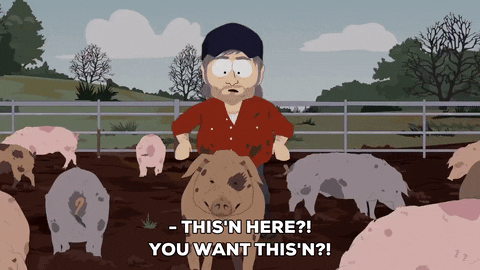 Pig Mud GIF by South Park - Find & Share on GIPHY