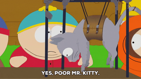 Eric Cartman Meow GIF by South Park - Find & Share on GIPHY