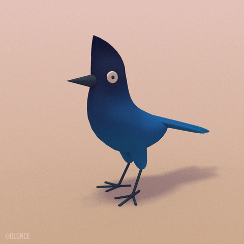 Blue Jay Animation GIF by DLGNCE - Find & Share on GIPHY