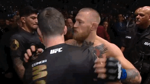 Conor Mcgregor Fight GIF - Find & Share on GIPHY