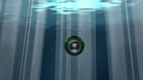 Pod GIFs - Find & Share on GIPHY