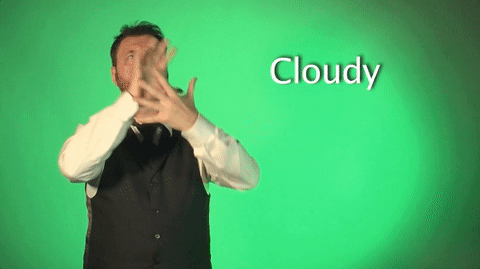 Sign Language Asl GIF by Sign with Robert - Find & Share on GIPHY