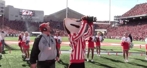 Wisconsin Badgers Bucky GIF by uwmadison - Find & Share on GIPHY