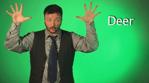 Sign Language Deer GIF by Sign with Robert - Find & Share on GIPHY