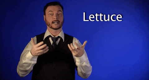 Sign Language Lettuce GIF by Sign with Robert - Find & Share on GIPHY