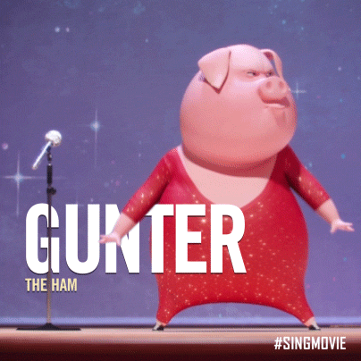 Sing Movie GIF - Find & Share on GIPHY
