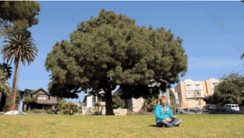 Flailing Public Park GIF by Charles Pieper - Find & Share on GIPHY