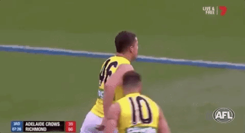 GIF by AFL - Find & Share on GIPHY