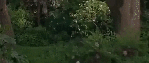 Horror Creeping GIF - Find & Share on GIPHY