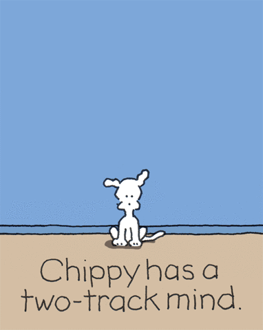 Chippy the Dog GIF - Find & Share on GIPHY