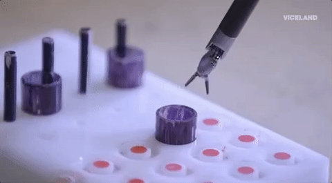 Viceland GIF by Motherboard - Find & Share on GIPHY