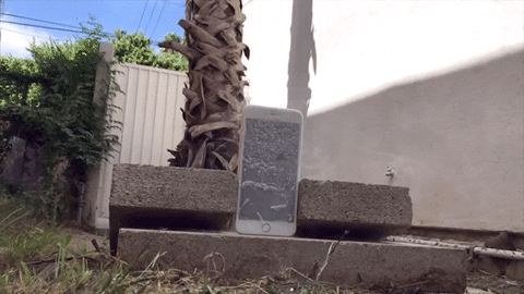 Apple Destroy GIF by Black Rifle Coffee Company - Find & Share on GIPHY