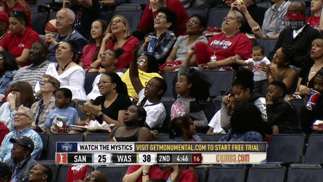 Mystics Fans GIF by WNBA - Find & Share on GIPHY