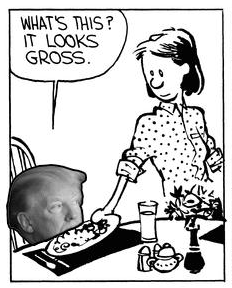 Donald gets two scoops : r/DonaldandHobbes