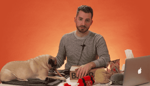 Pug Unboxing GIF by Bark - Find & Share on GIPHY