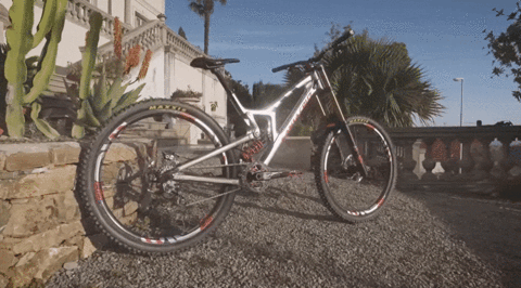 Animated GIF - Find & Share on GIPHY