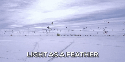 Race Feather GIF by Red Bull - Find & Share on GIPHY