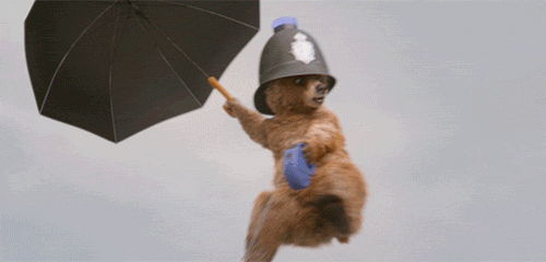 Flying Bear