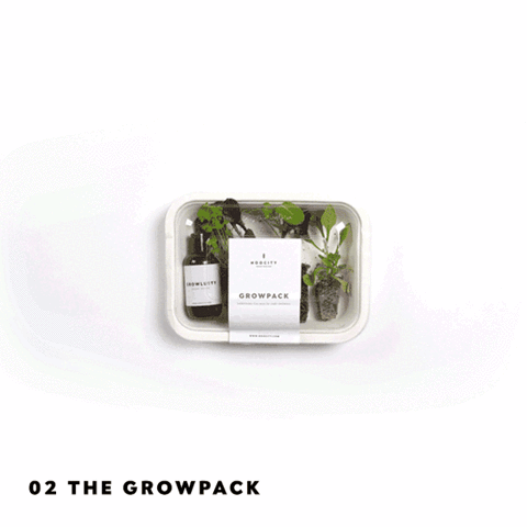 GROWKIT - The Urban Agriculture Kit for Beginners | Indiegogo