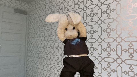 Bunny Dancing GIF by Zackary Rabbit - Find & Share on GIPHY