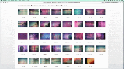 Work Photo GIF by Blanca Viñas - Find & Share on GIPHY