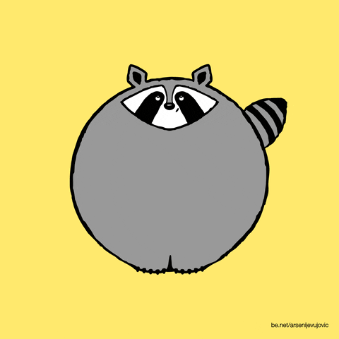 Raccoon GIF by Arsenije Vujovic - Find & Share on GIPHY