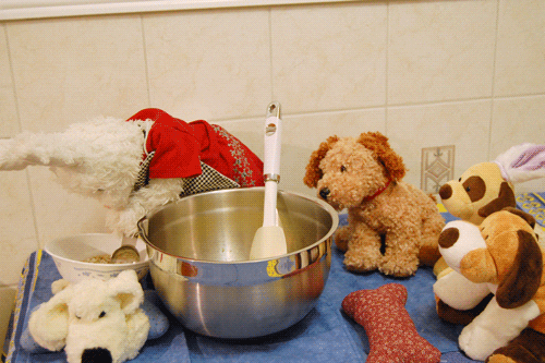 Dog Cooking GIF by Zackary Rabbit - Find & Share on GIPHY