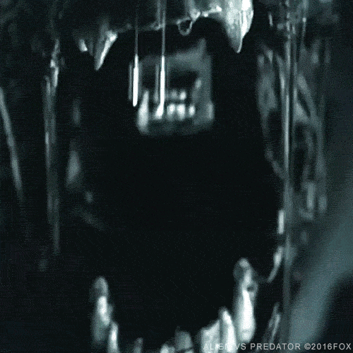 Alien Vs Predator By Foxhorror Find And Share On Giphy