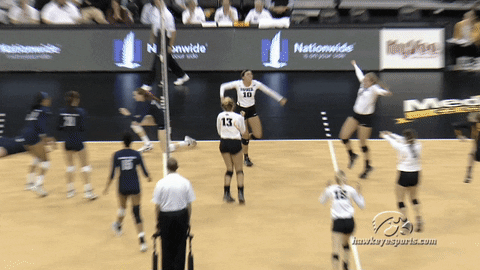 Volleyball Vb GIF by University of Iowa Hawkeyes Athletics - Find ...
