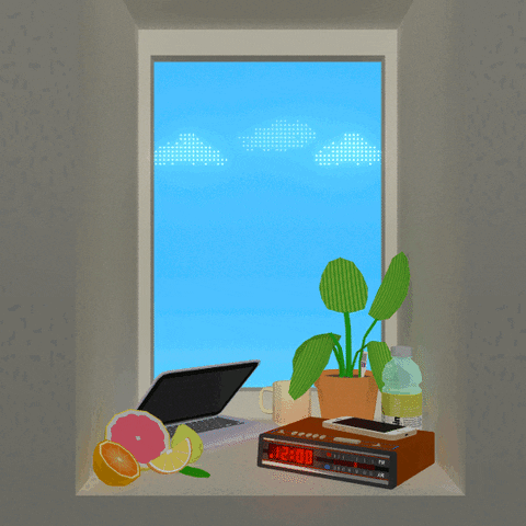 Still Life Window GIF by jjjjjohn - Find & Share on GIPHY