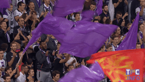 Ligue 1 Soccer GIF by Toulouse Football Club - Find & Share on GIPHY