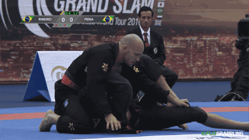 Bjj Jiu-Jitsu GIF by flograppling - Find & Share on GIPHY