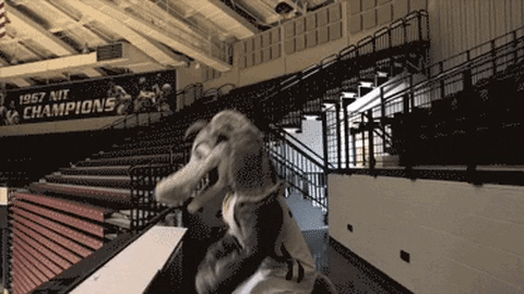 Siu GIF by SIUSalukis - Find & Share on GIPHY