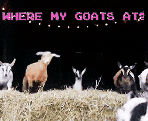Where My Goats At GIFs - Find & Share on GIPHY
