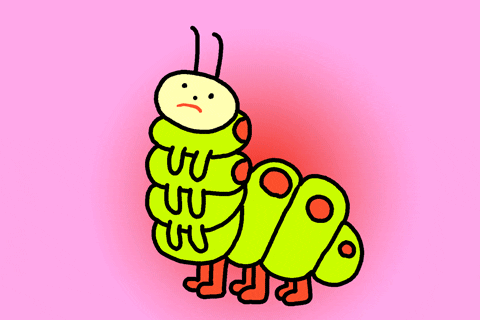 Bug GIF by Parker Jackson - Find & Share on GIPHY