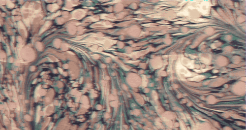 Morph GIF by ewanjonesmorris - Find & Share on GIPHY