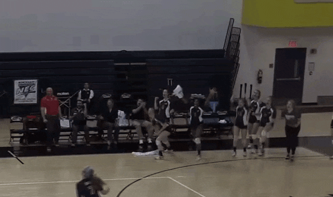 GIF by Robert Morris University Athletics - Find & Share on GIPHY