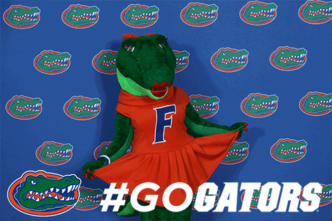 Florida Gators GIF - Find & Share on GIPHY